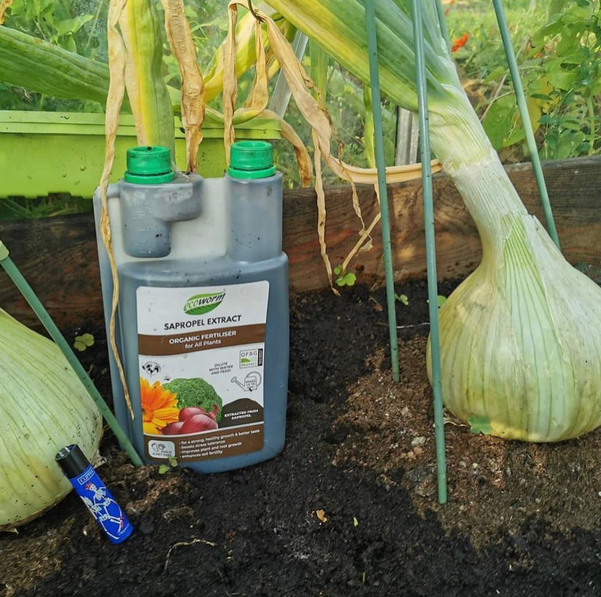 Ecoworm Sapropel Extract | Organic “Plant Doctor” Fertiliser & Soil ...